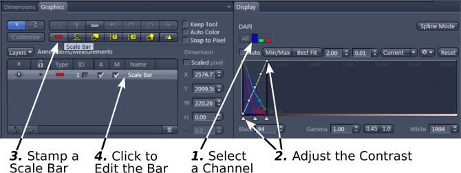 Zeiss Axio Imager Z2 Upright Microscope Manual | Duke Light Microscopy ...
